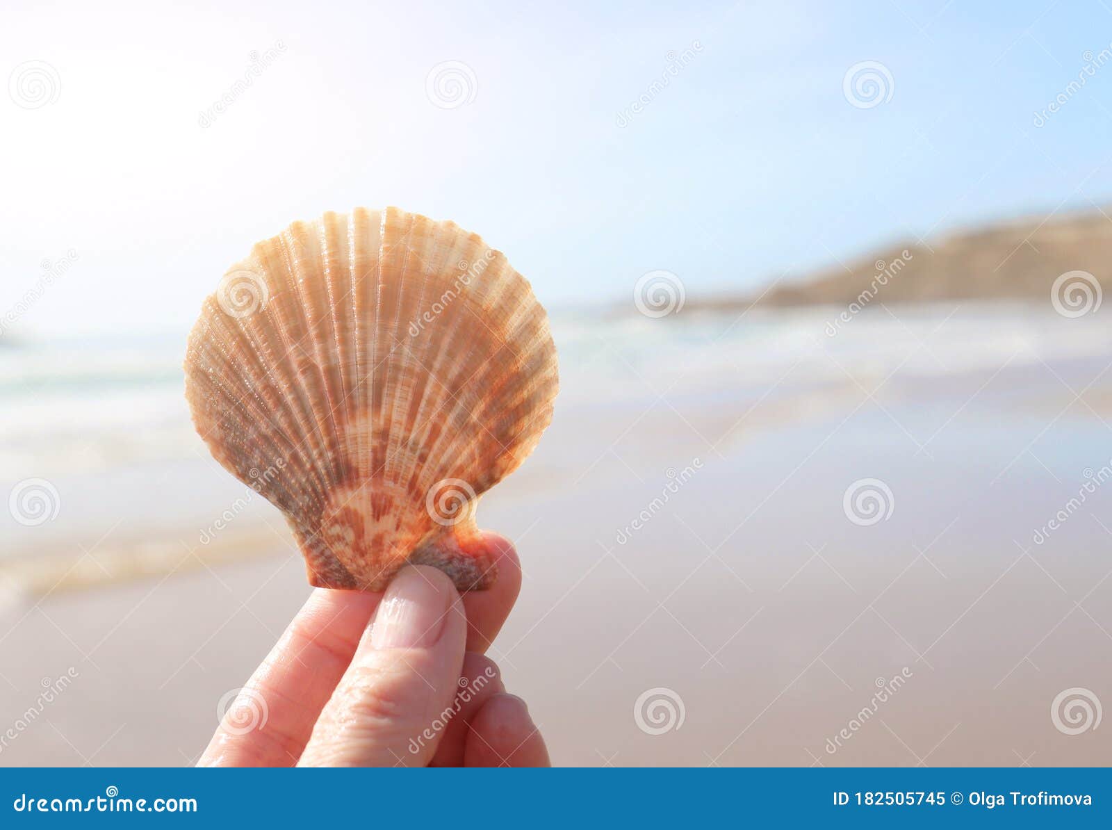 Beautiful Shell in Hand Close-up on the Background of the Seascape ...