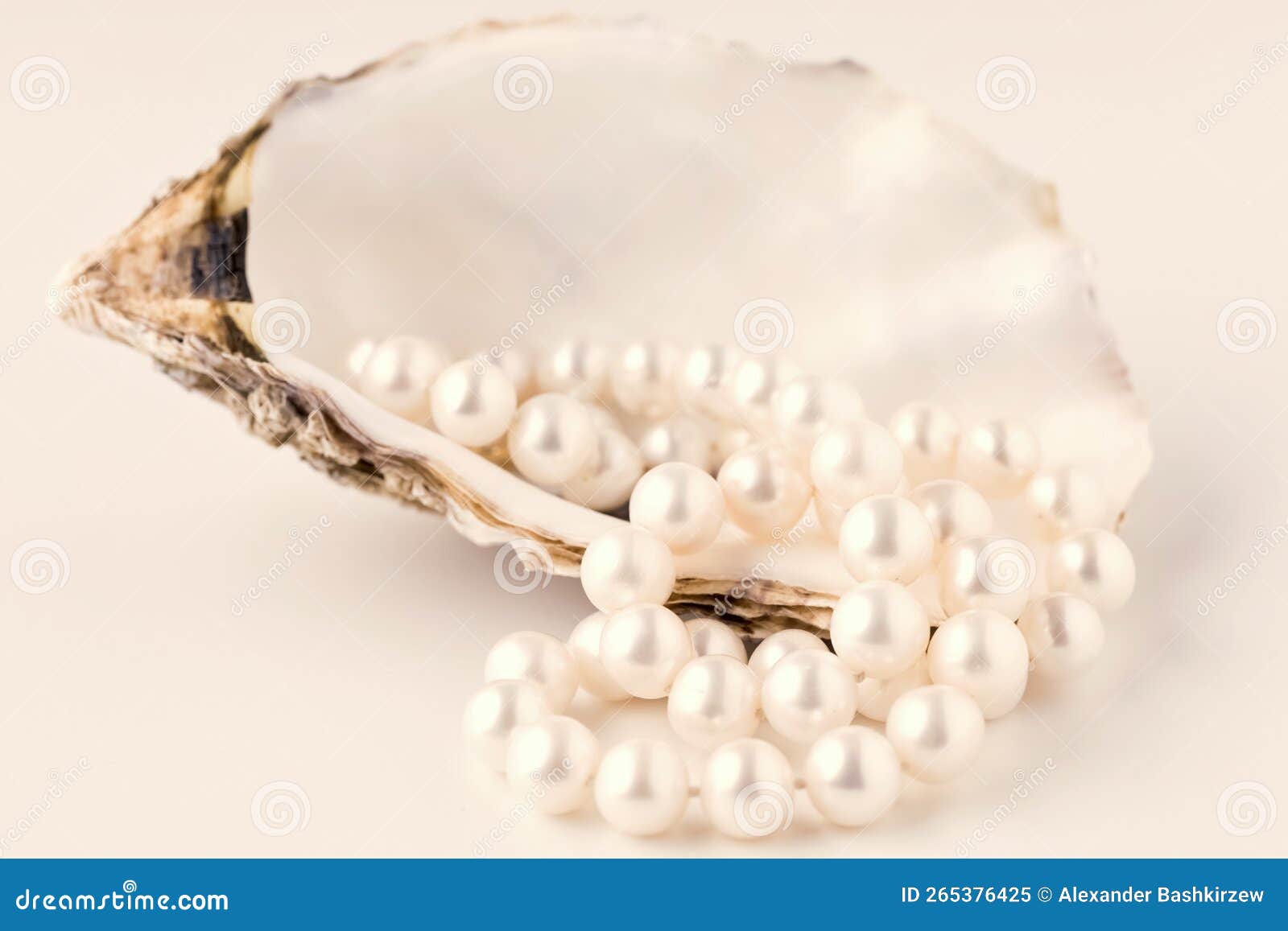 Beautiful Shell Oyster Empty with Pearls Stock Image - Image of bride ...