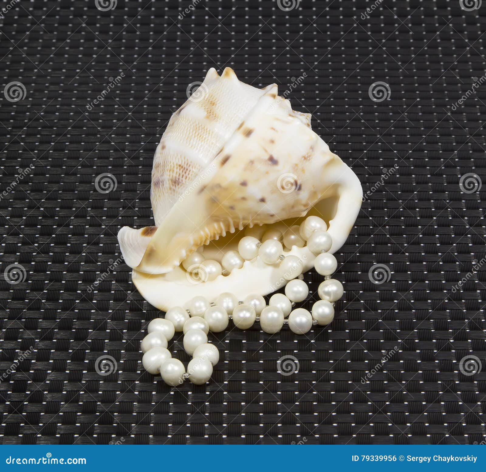 Beautiful Shell with Pearl Beads Stock Photo - Image of souvenir ...