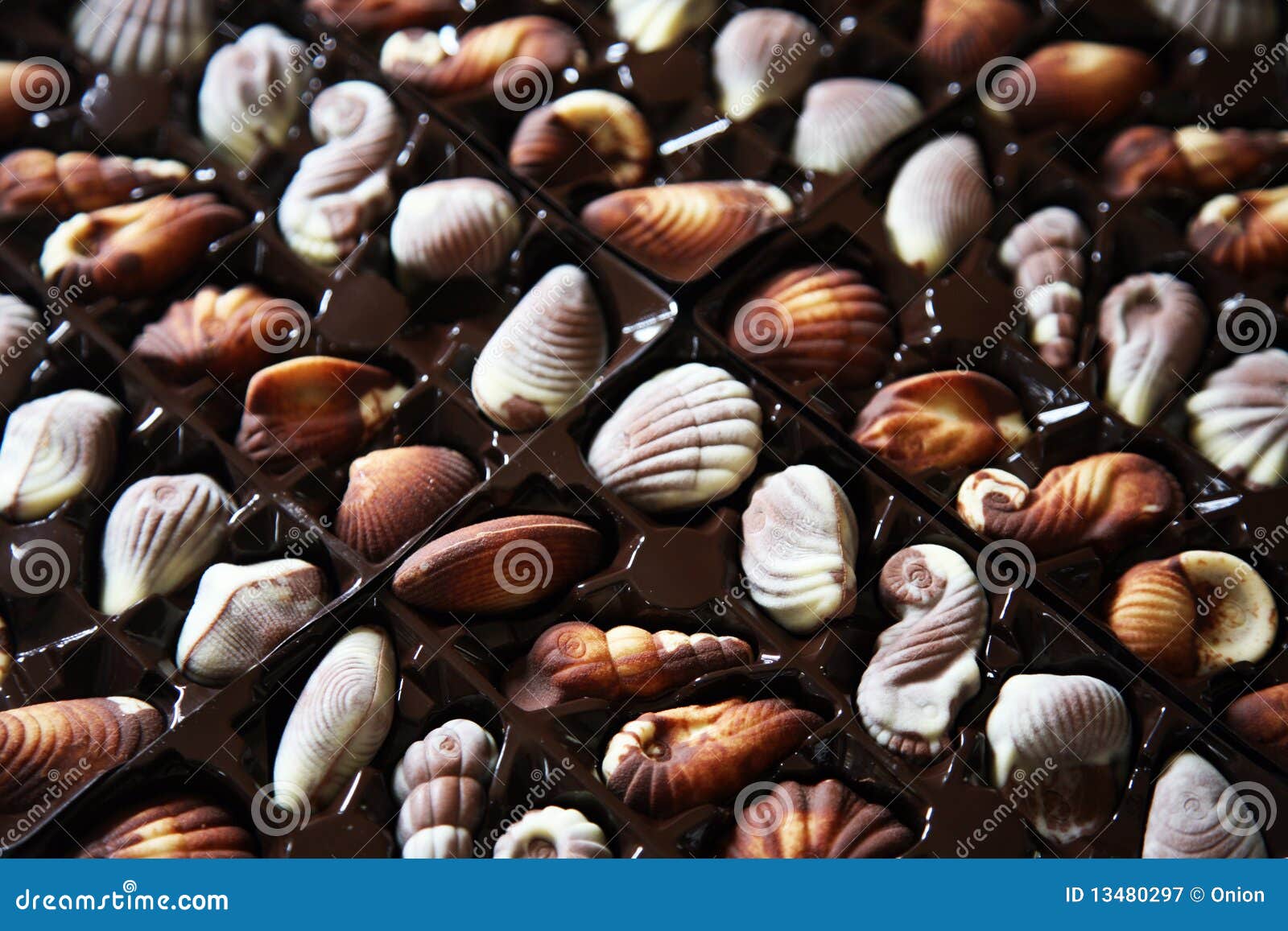 Beautiful Shell Shaped Chocolates Stock Image - Image of dark, candy ...