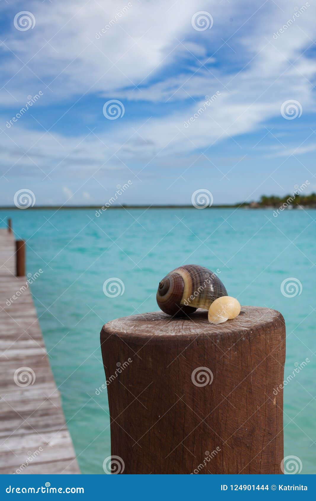 Bacalar Lagoon Sieste Colores Shell Stock Photo - Image of canal ...