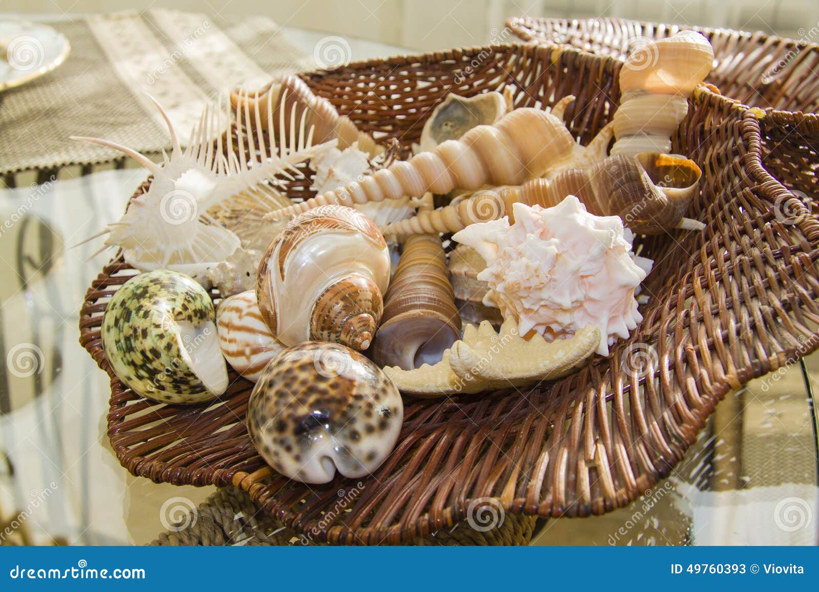 Beautiful Shells in basket stock image. Image of sand - 49760393