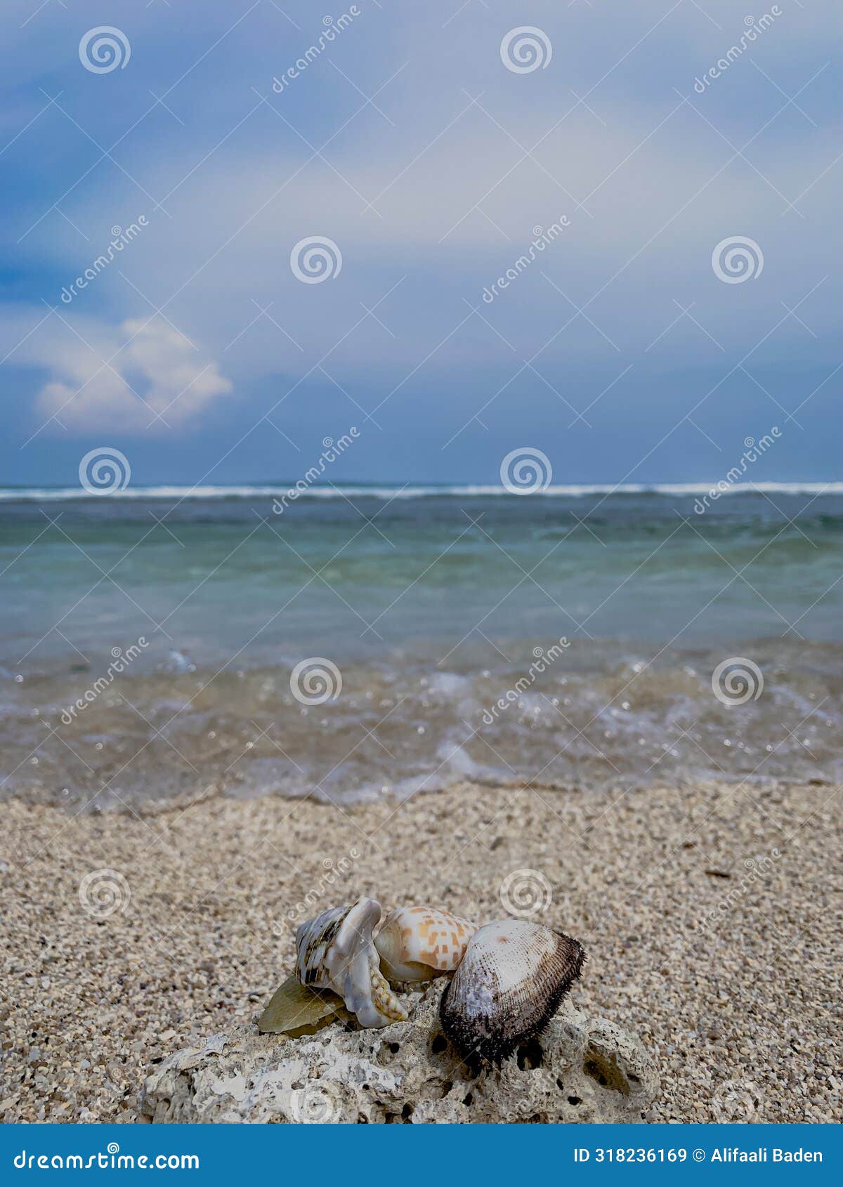 Beautiful Shells and Beaches in Indonesia, West Java. Stock Image ...