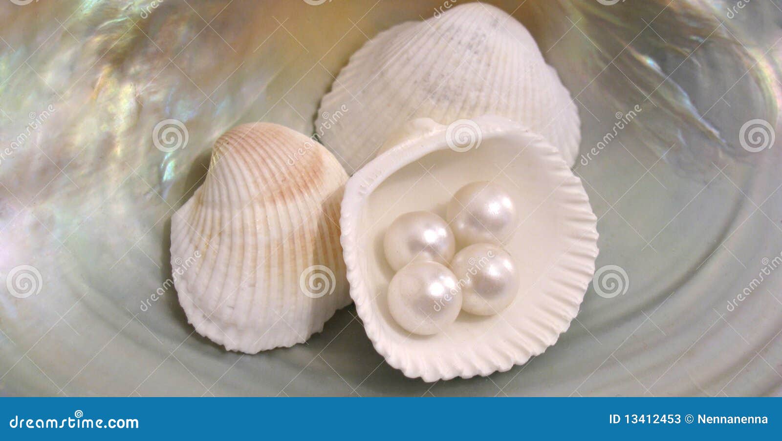 Beautiful Shells and Pearls Stock Image - Image of beige, starfish ...