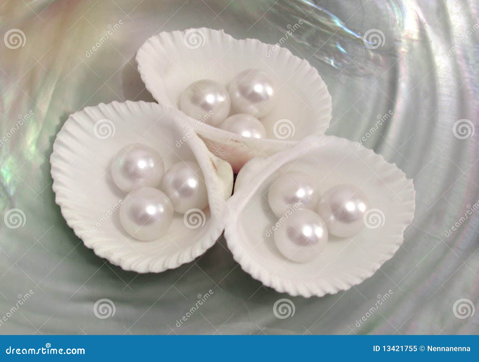 Beautiful Shells and Pearls Stock Image - Image of cockle, star: 13421755