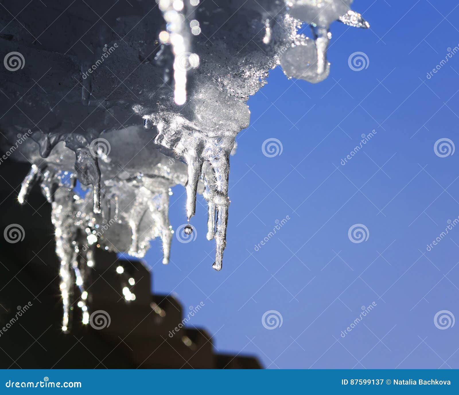 Beautiful Shiny Icicles Melt and Drip on the Roof in the Spring Stock ...