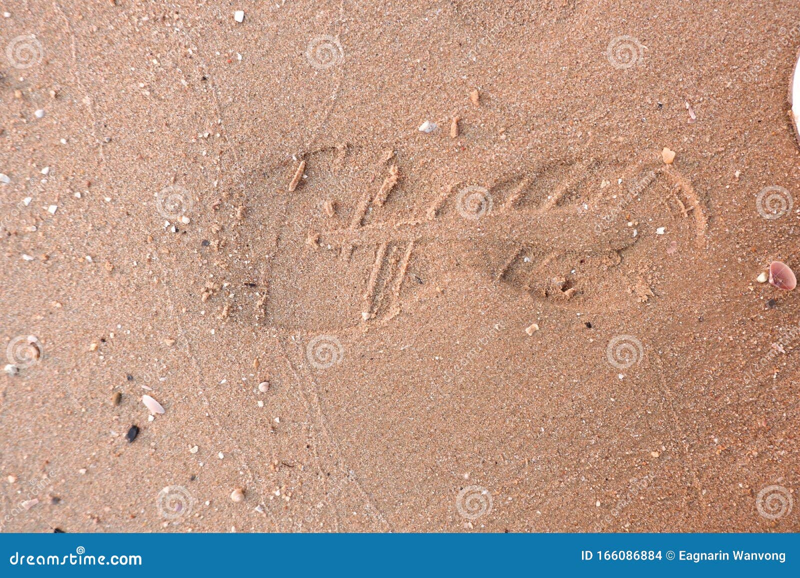 Beautiful Shoe Marks on the Sand Stock Photo - Image of detail, shape ...