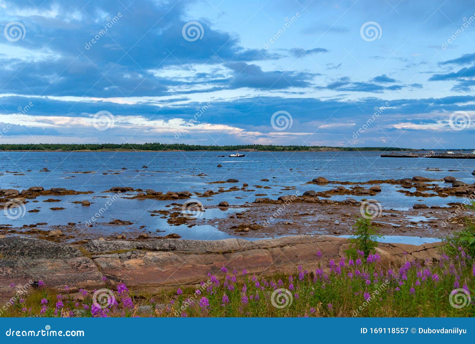 Beautiful Shore of the Northern Lake Stock Image - Image of sunset ...