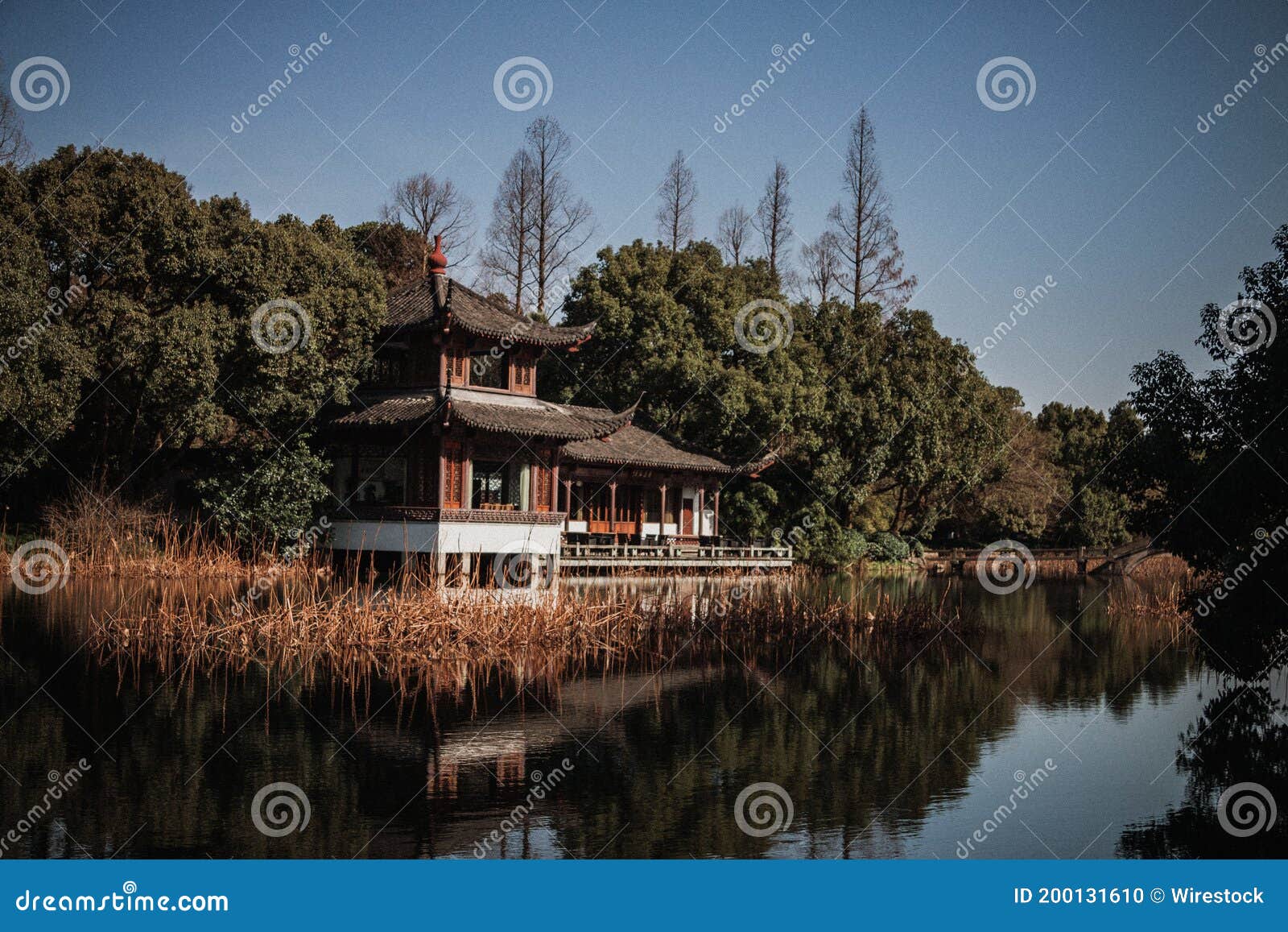 Beautiful Shot of Asian Rural Scenery Stock Photo - Image of tree ...