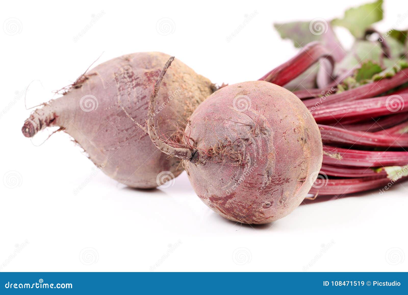 Beat root stock image. Image of root, healthy, white - 108471519 Beat root stock image. Image of root, healthy, white - 108471519