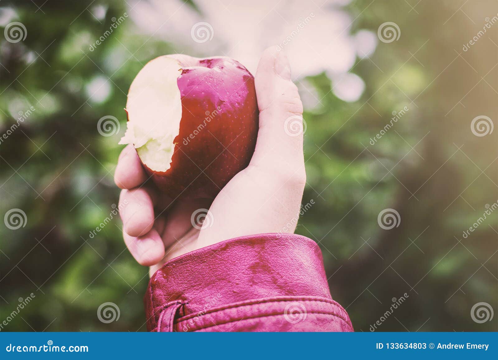 Beautiful Shot of a Bitten Apple Being Held Stock Image - Image of ...