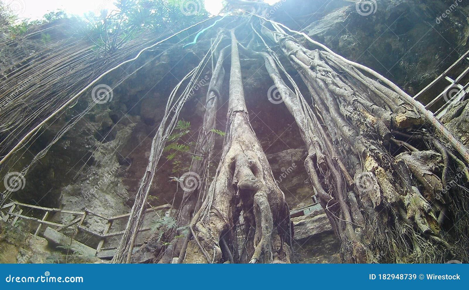 Beautiful Shot of a Cave and Many Climbing Ropes Stock Image - Image of ...