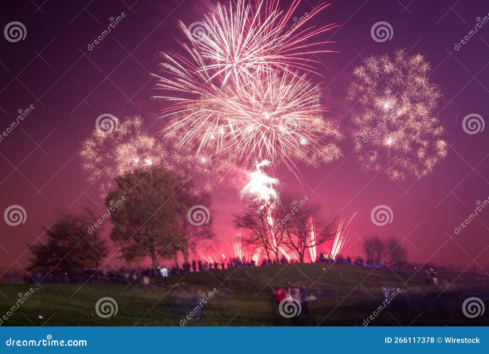 Beautiful Shot of Exploding Colorful Fireworks in a Night Sky Over ...