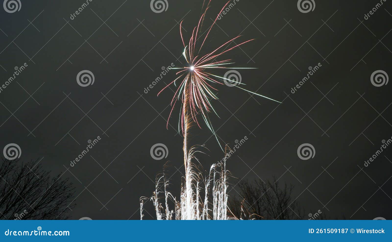 Beautiful Shot of a Fire Work Exploding at Night Stock Image - Image of ...