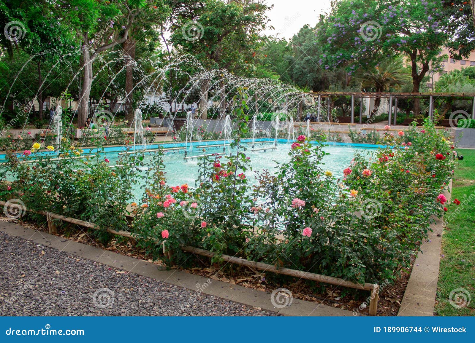 Beautiful Shot of a Garden with Pool and Roses Stock Photo - Image of ...