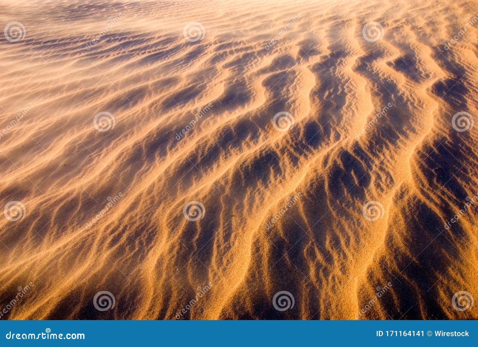 Beautiful Shot of Golden Desert Sand Ripple Patterns in a Desert Stock ...