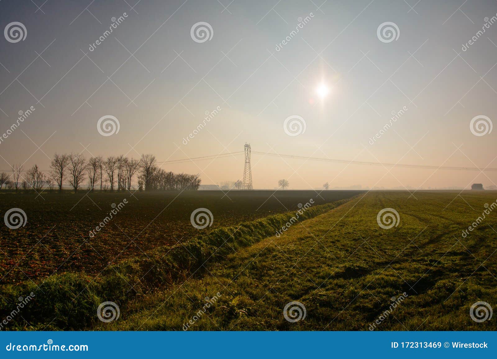 Beautiful Shot of the Green Fields during Sunny Weather Stock Image ...