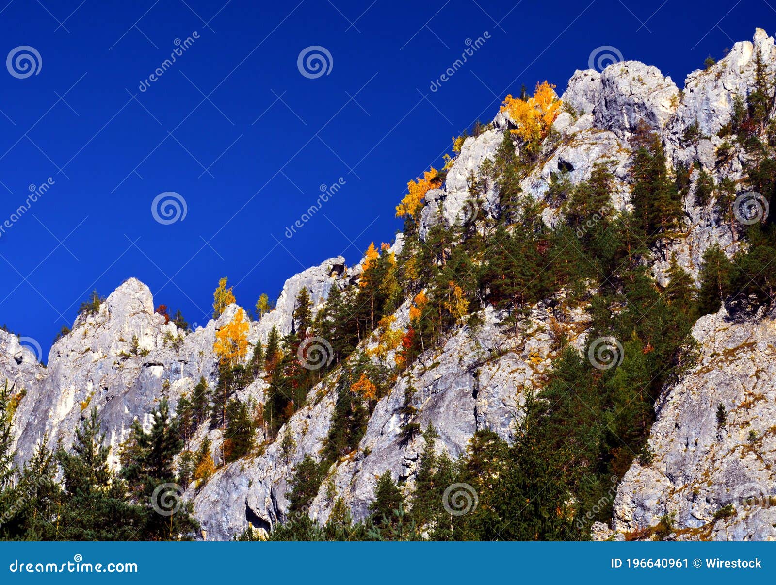 Beautiful Shot of Hamas Mountains in Romania Stock Image - Image of ...