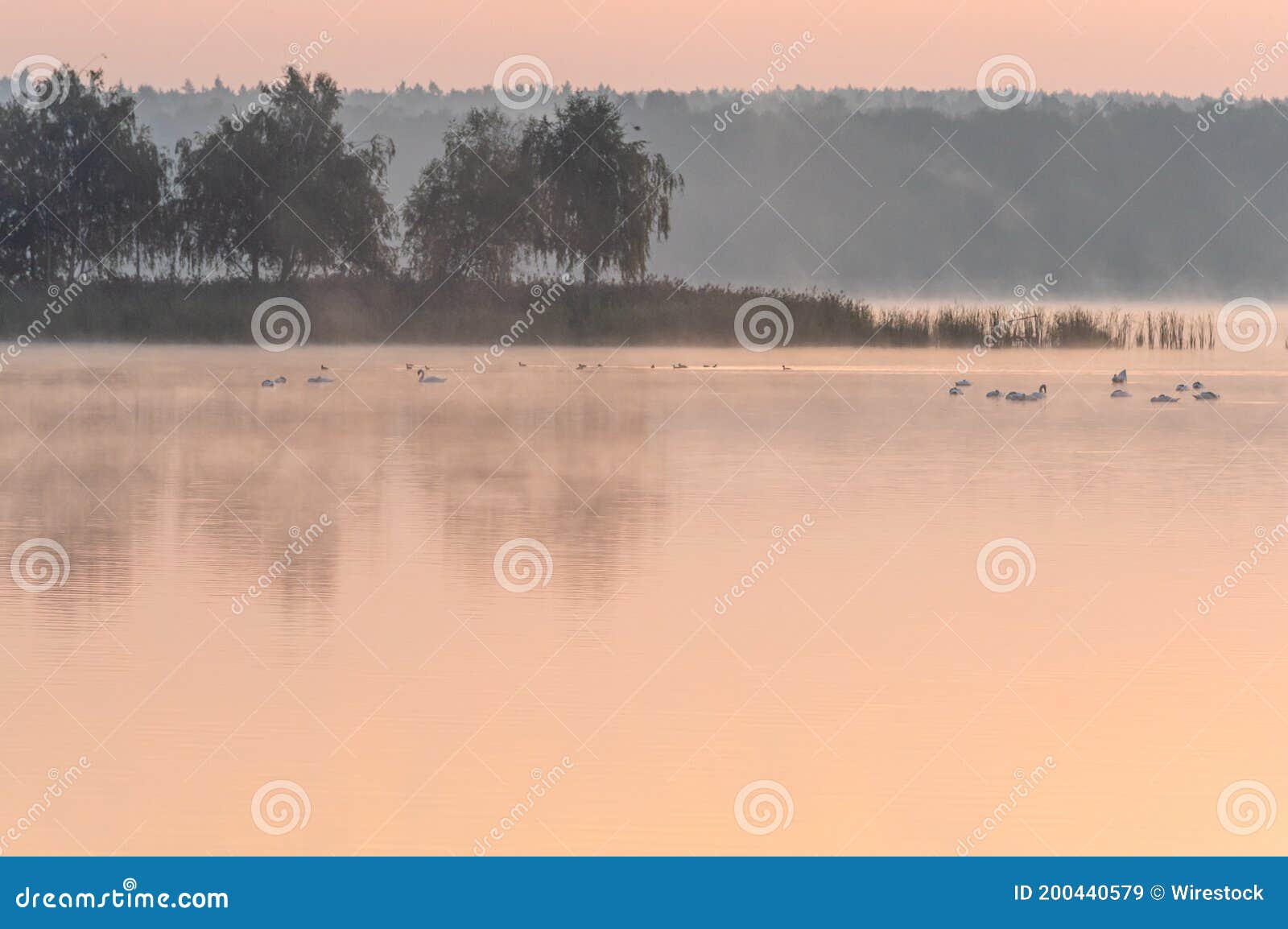 Beautiful Shot of a Lake with Birds during Sunset Stock Image - Image ...