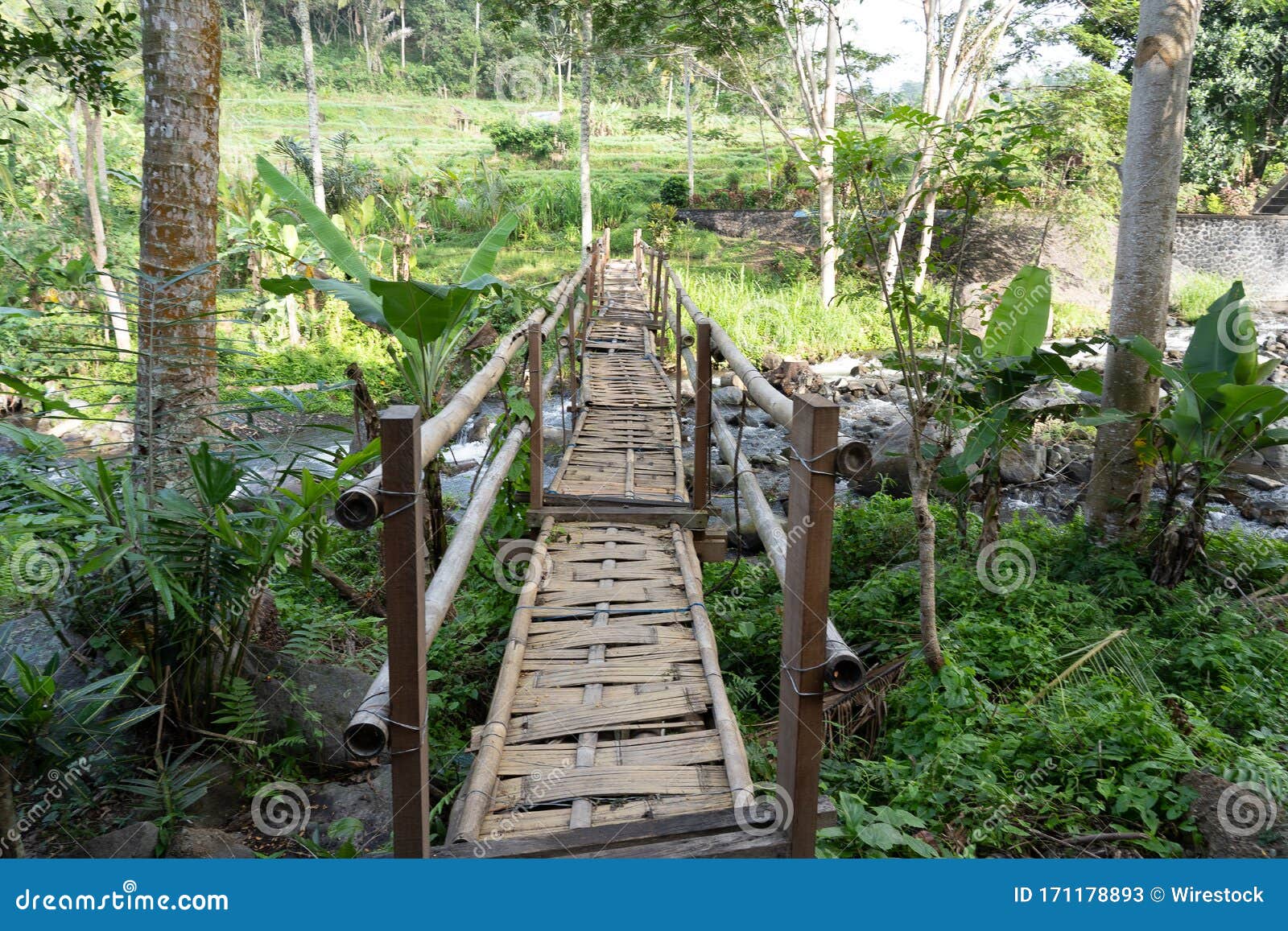 Beautiful Shot of a Log Bridge in a Water Stream Stock Image - Image of ...