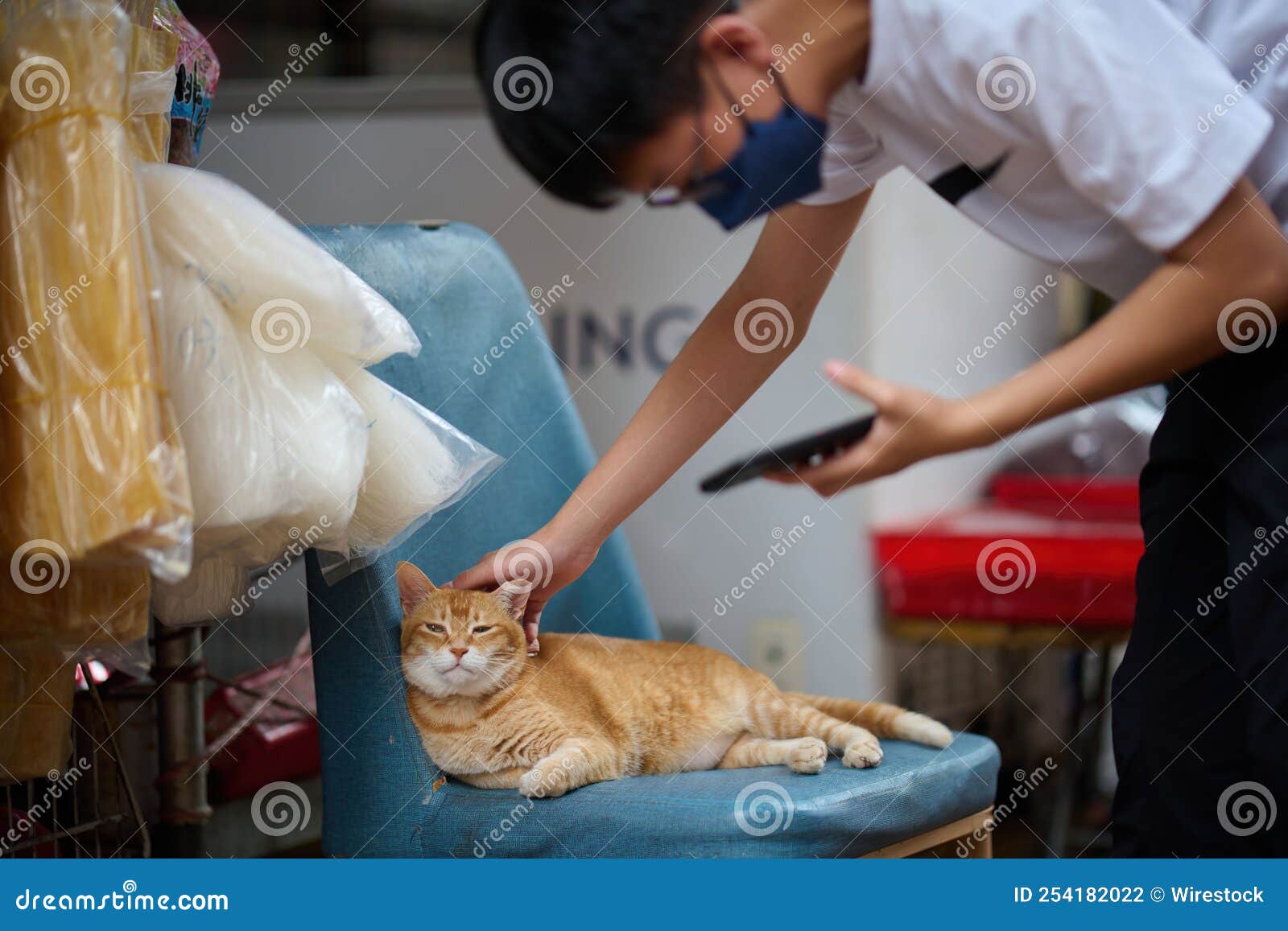 Beautiful Shot of a Man Petting a Orange Cat Stock Photo - Image of ...