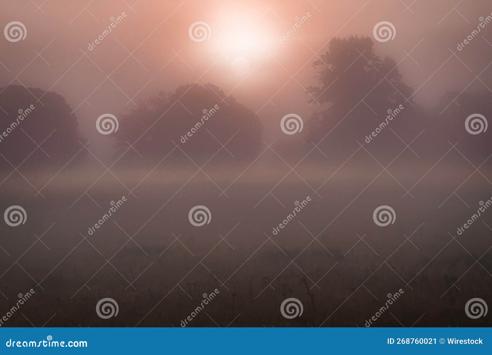 Beautiful Shot of a Misty Sunset Sky Over a Field with Trees Stock ...
