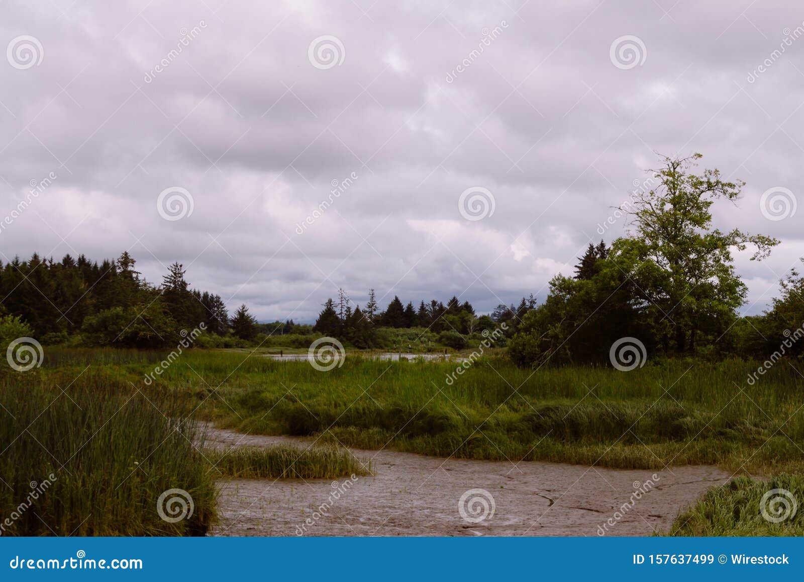 Beautiful Shot of Muddy Pathway in the Middle of Grassy Fields with ...