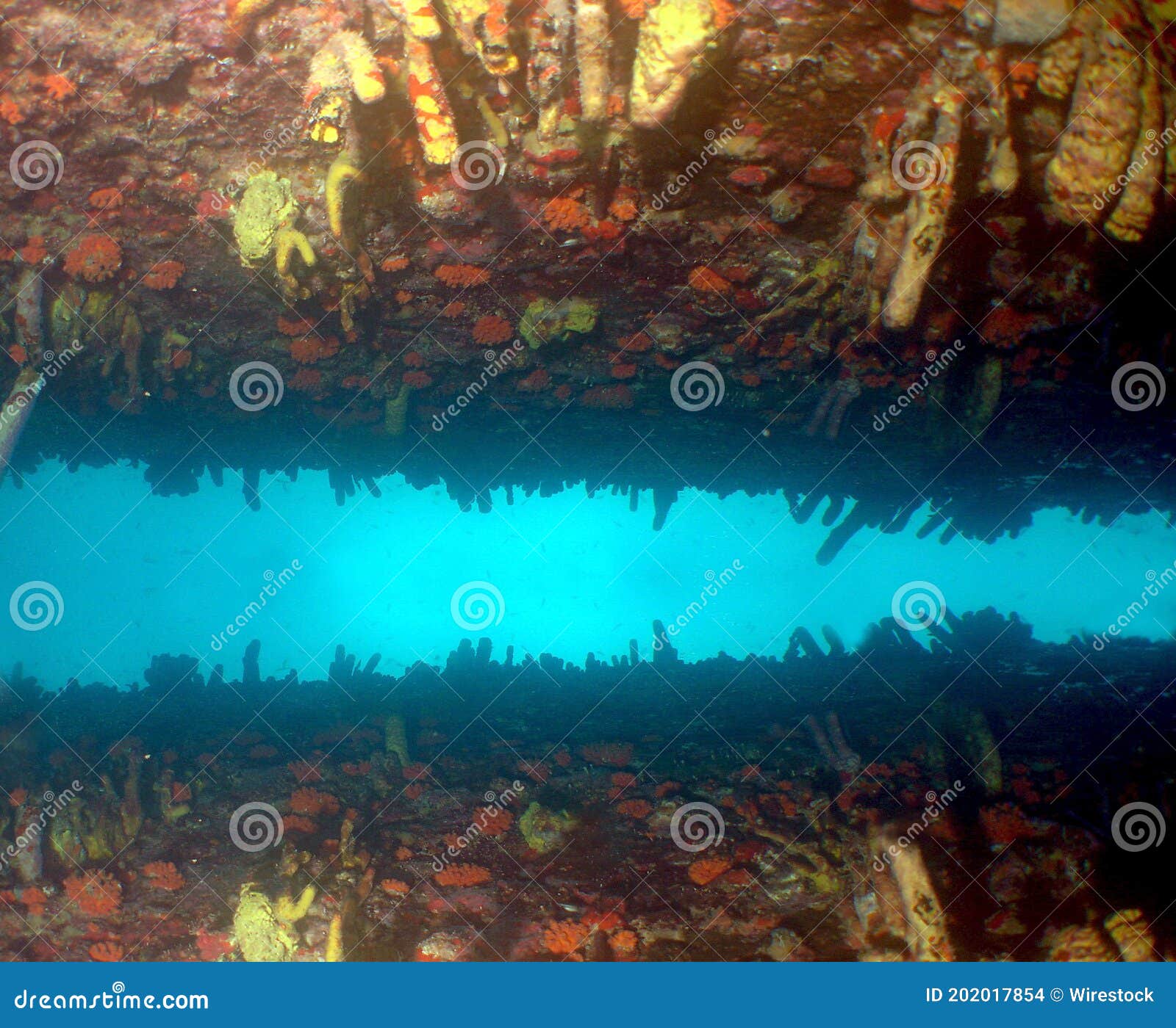 Beautiful Shot of a Narrow Passage in the Deep Sea Stock Photo - Image ...