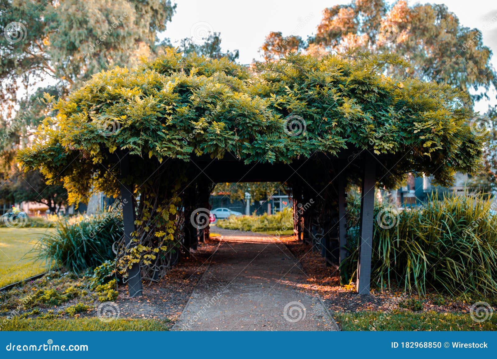 Beautiful Shot of Park Pathway Going through an Arch with Plants Stock ...