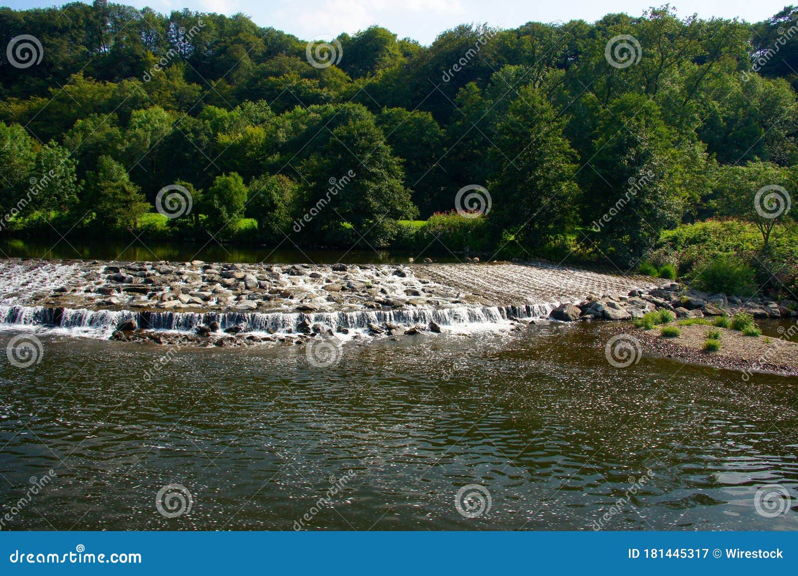 Beautiful Shot of a River Dam Surrounded with Trees and Plants on a ...