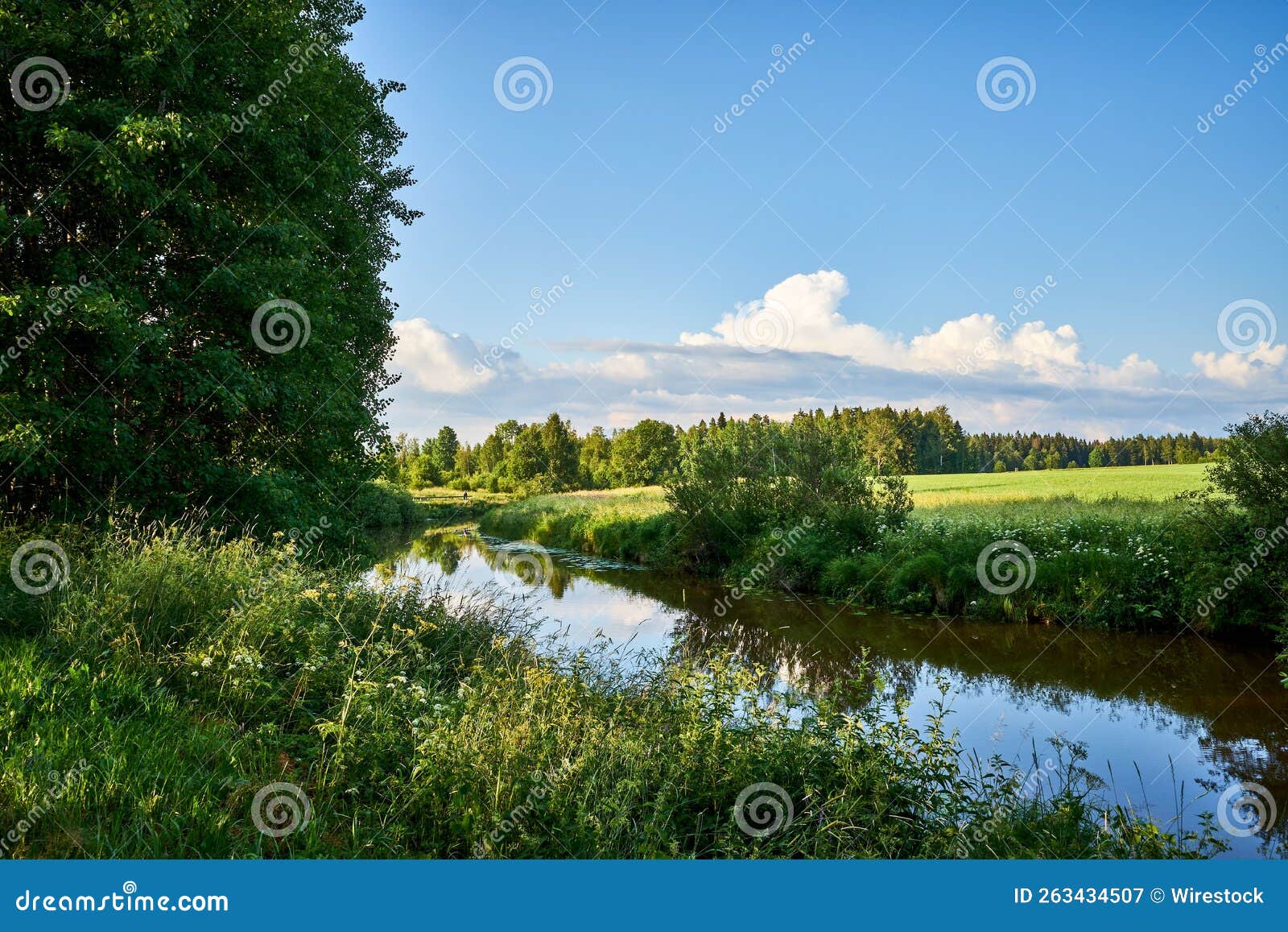 Beautiful Shot of a River Flowing between Fields Surrounded by Trees ...