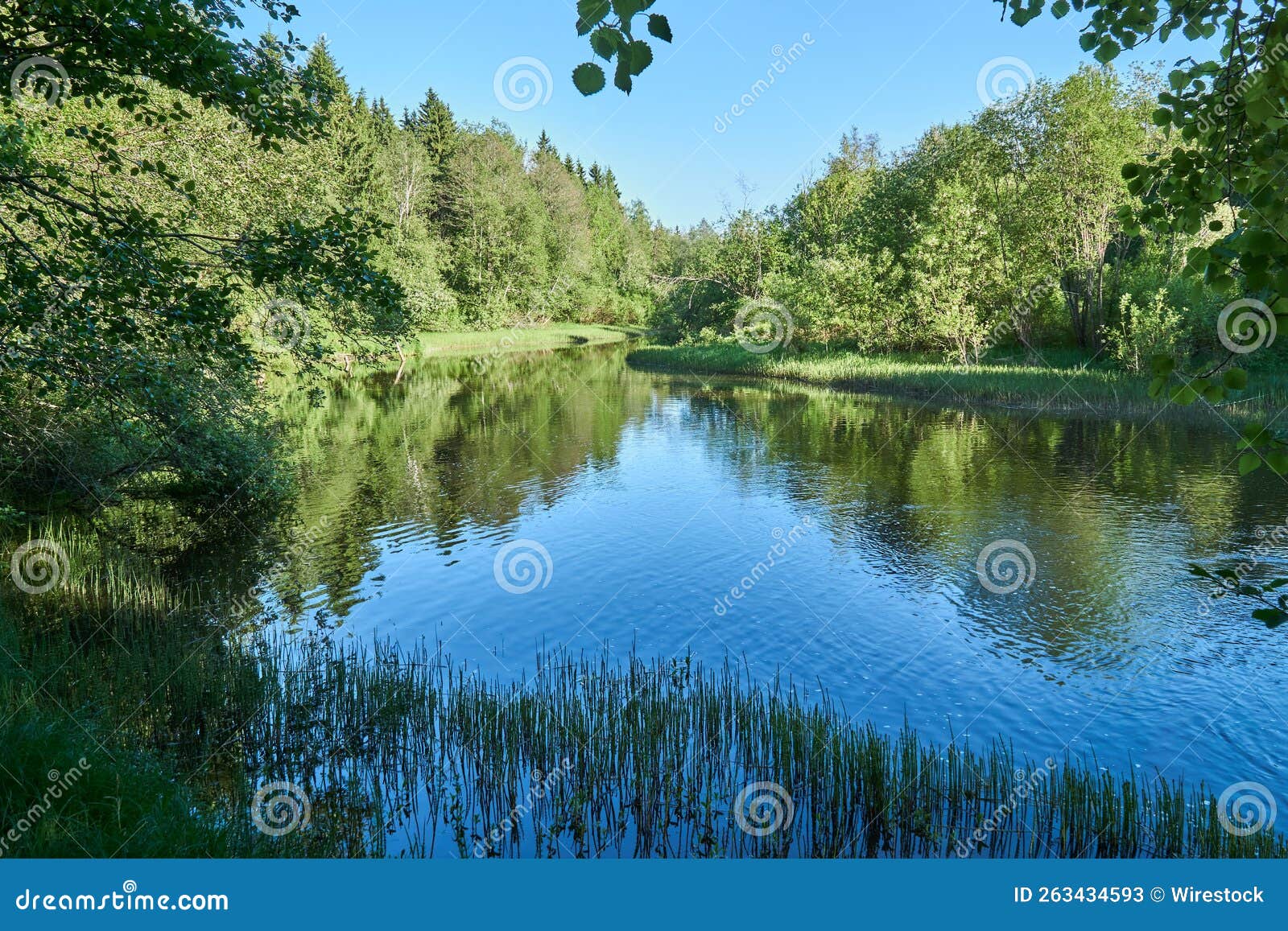 Beautiful Shot of a River Flowing between Fields Surrounded by Trees ...
