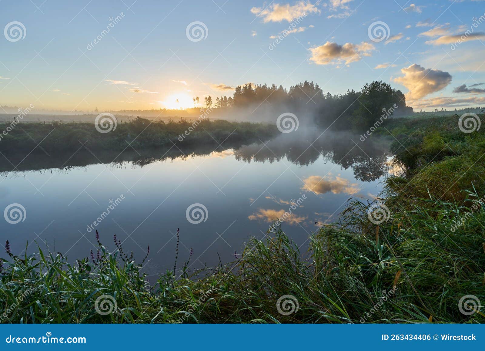 Beautiful Shot of a River Flowing between Fields Surrounded by Trees ...