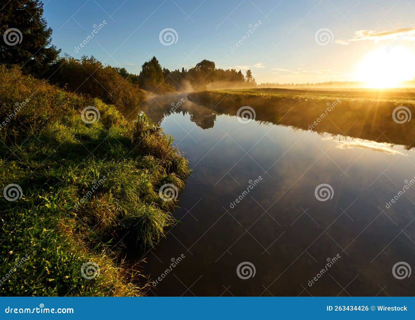 Beautiful Shot of a River Flowing between Fields Surrounded by Trees ...