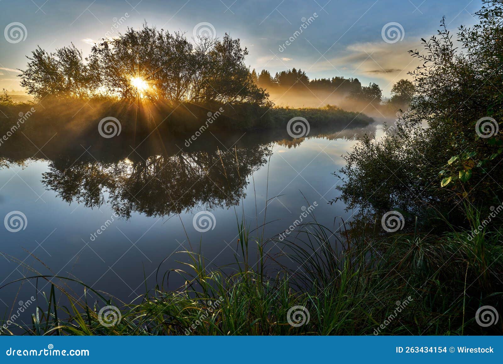 Beautiful Shot of a River Flowing between Fields Surrounded by Trees ...