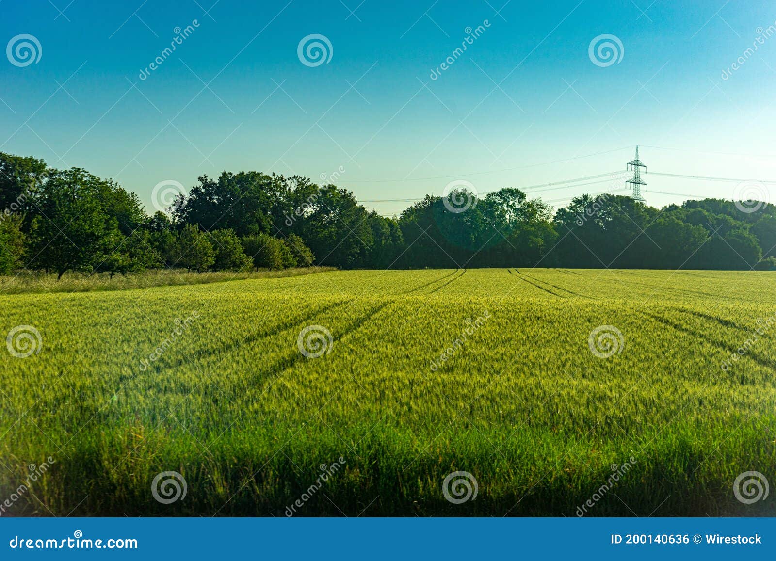 Beautiful Shot of a Rural Field at Daytime Stock Photo - Image of ...