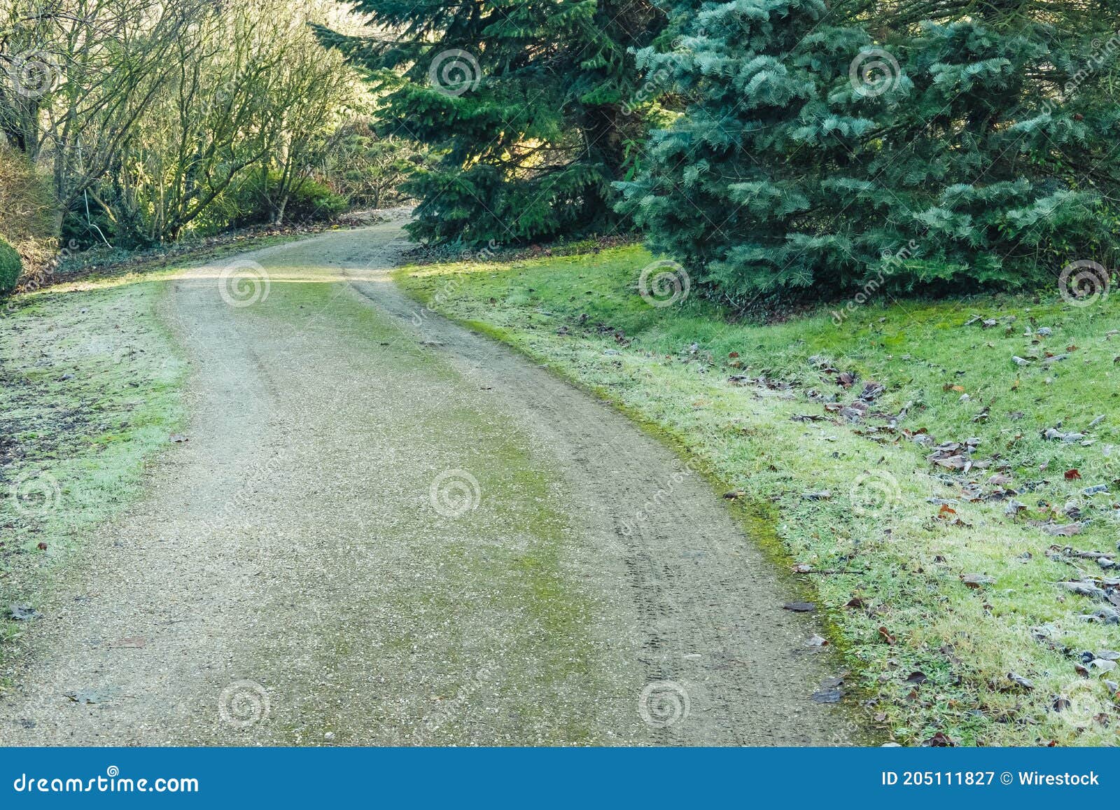 Beautiful Shot of a Rural Pathway Stock Image - Image of countryside ...