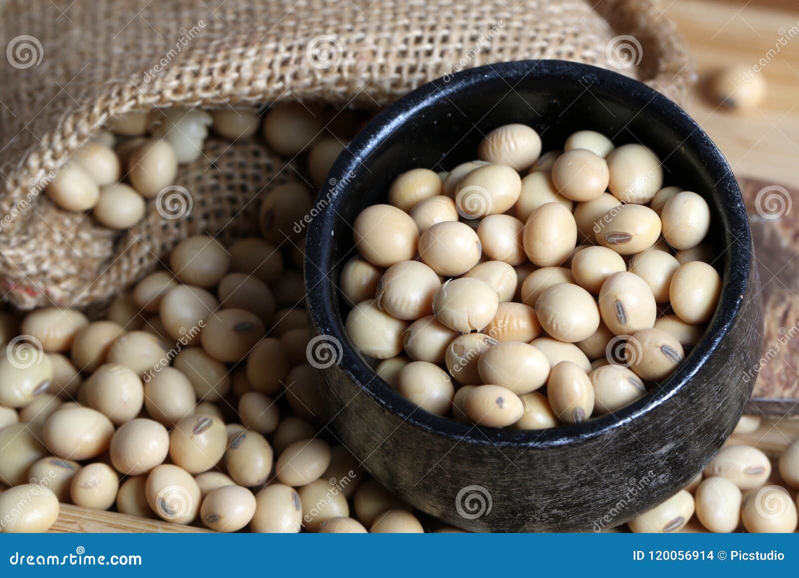 Soya-bean stock photo. Image of shot, natural, seeds - 120056914