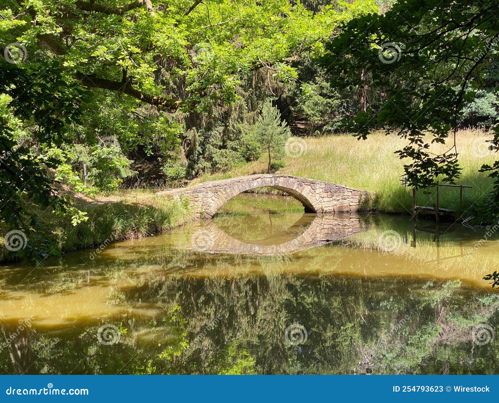 Beautiful Shot of a Stone Arch Bridge Reflecting on a Water Stock Image ...