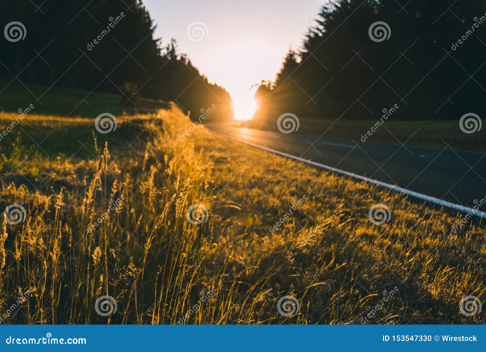 2,529 Highway Greenery Photos - Free & Royalty-Free Stock Photos from ...