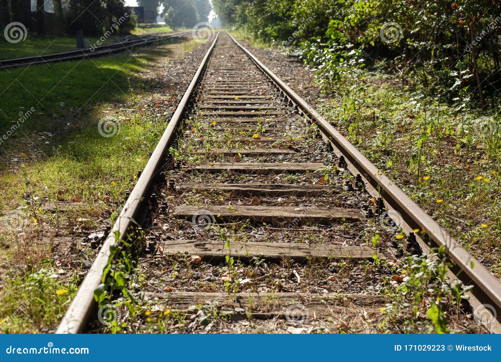 Beautiful Shot of Train Tracks Covered with Grass during Daytime Stock ...