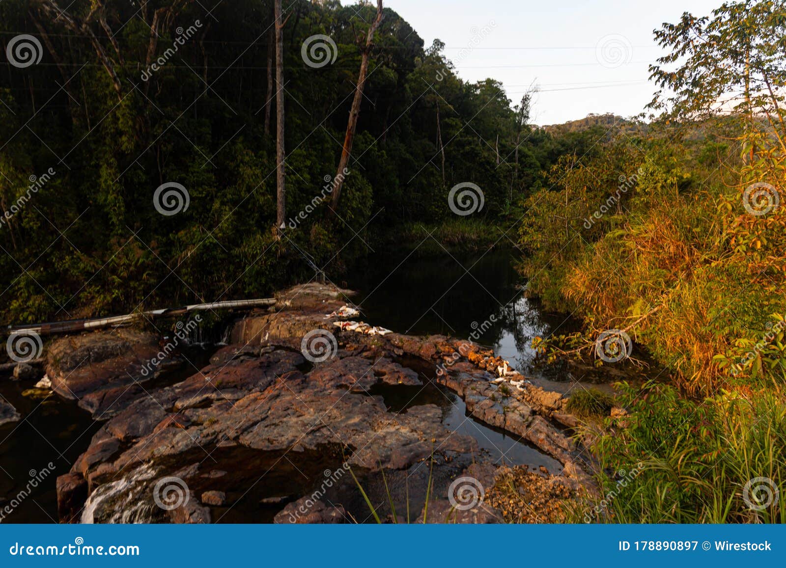 Beautiful Shot of a Water Stream in the Middle of Trees in Dalat Stock ...