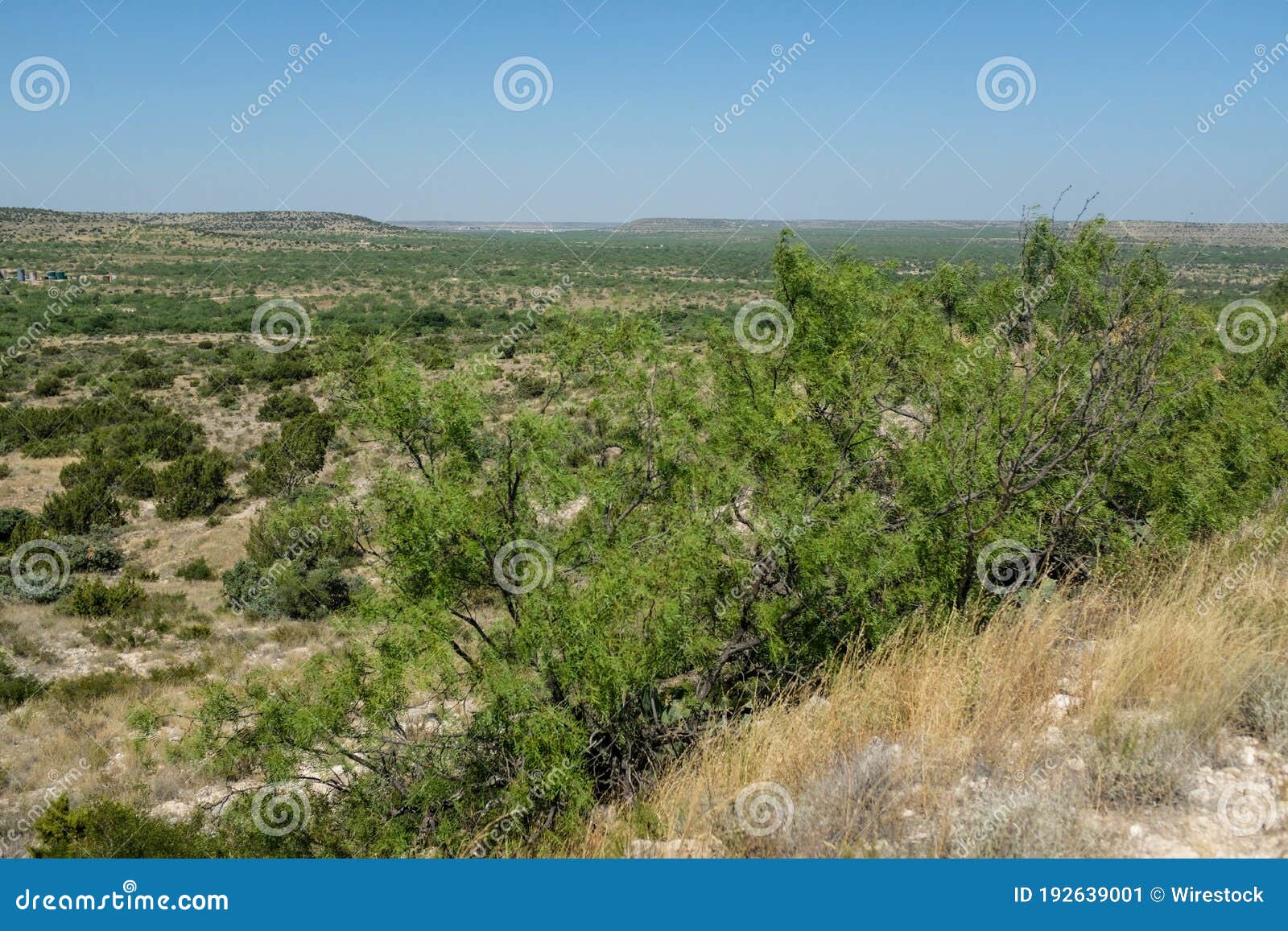 Beautiful Shot of West Texas Scenery with a Clear Blue Sky Stock Image ...