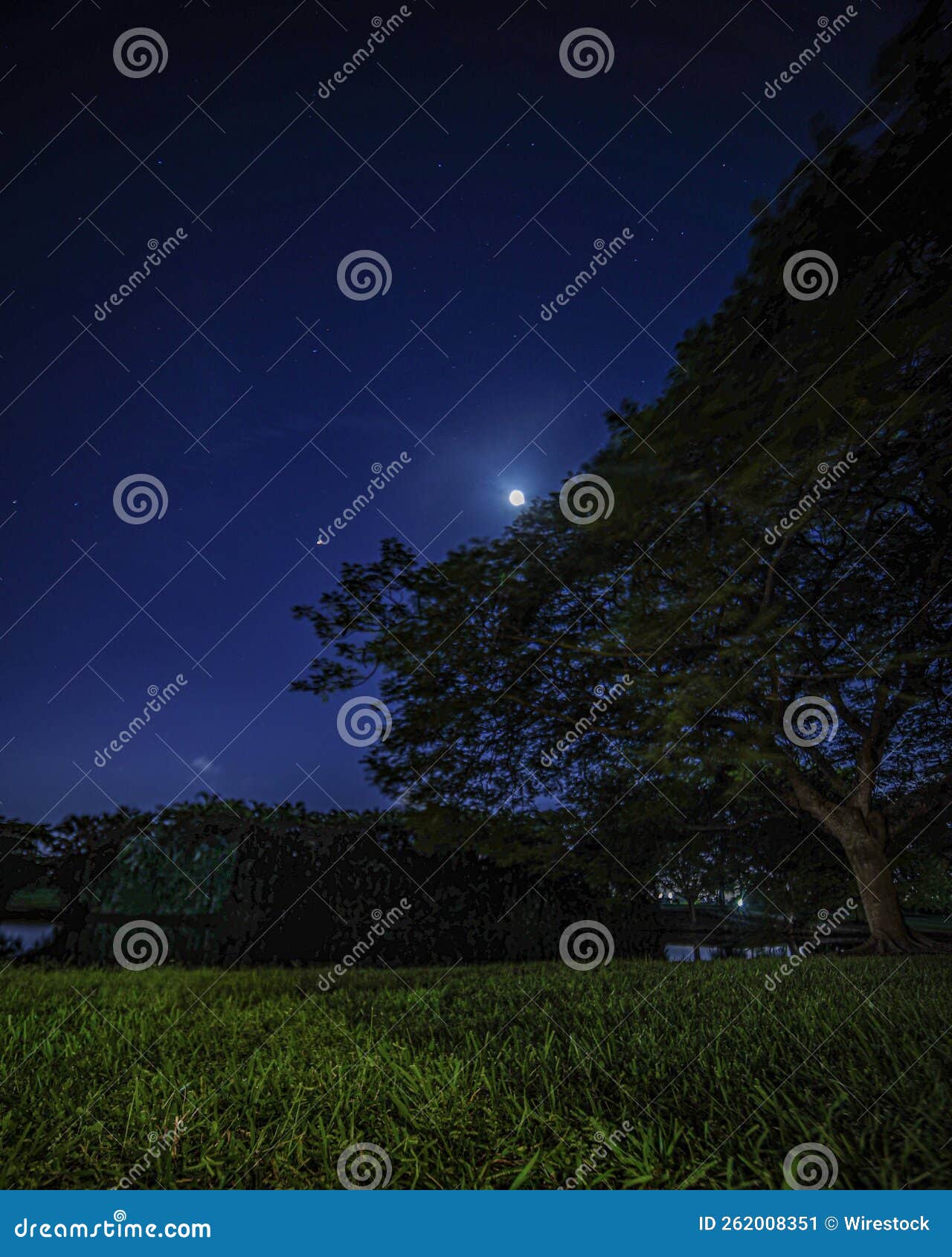 Beautiful Shot of a Yard at Night Stock Image - Image of city, night ...