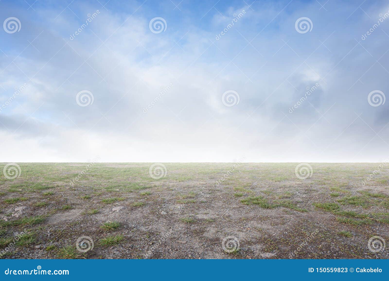 Beautiful Simple Ground Scenery with Grass and Mist Stock Image - Image ...