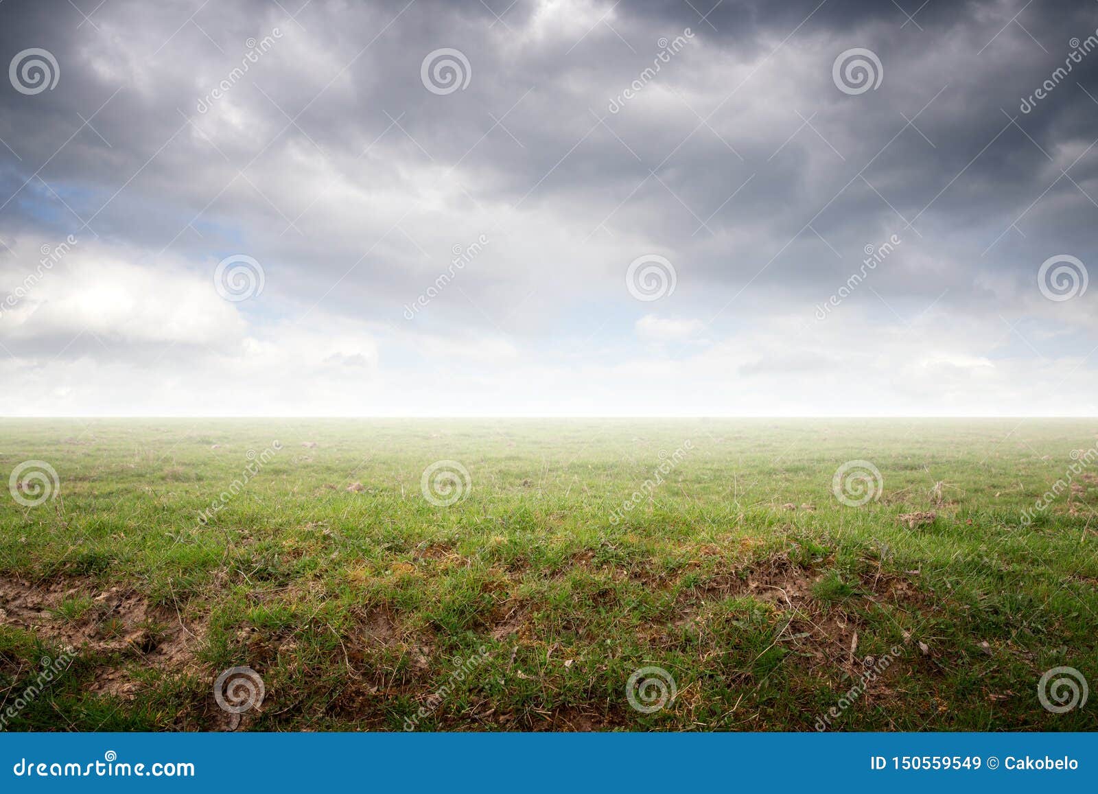 Beautiful Simple Ground Scenery with Grass and Mist Stock Image - Image ...
