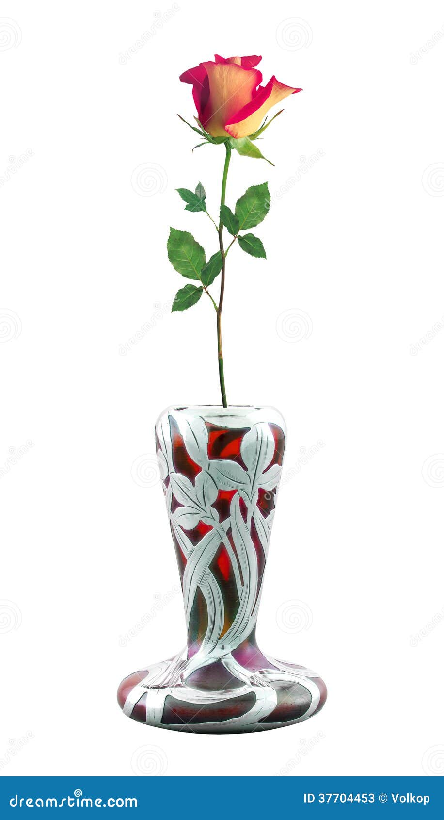 Beautiful Single Pink Rose in Vase Isolated on White Stock Image ...