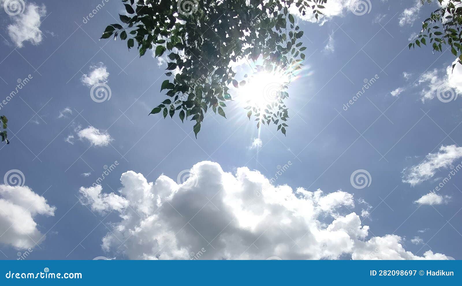 Beautiful sky bro stock image. Image of leaf, beautiful - 282098697