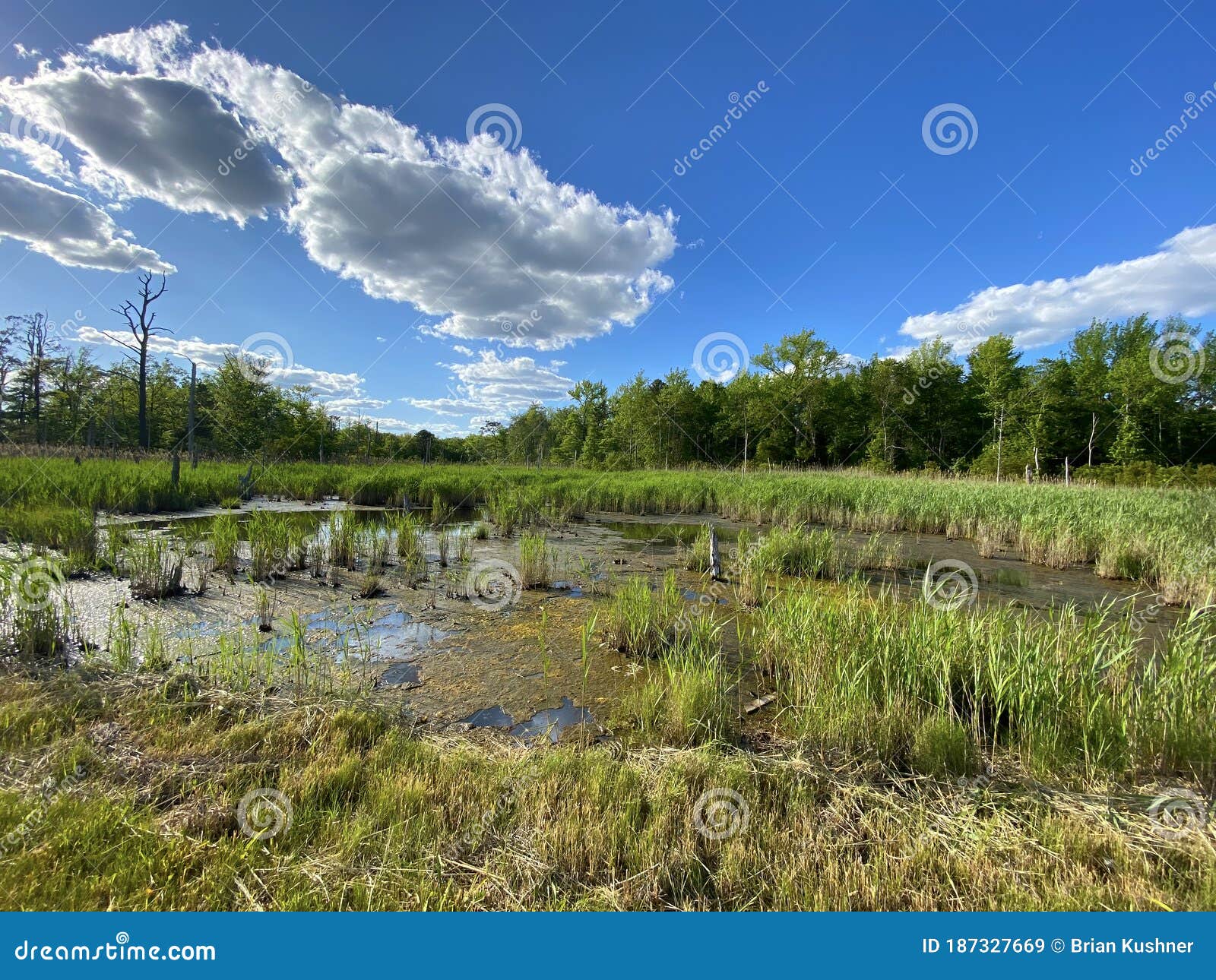 Beautiful Sky and Clouds Overlooking a Pond Stock Image - Image of pond ...