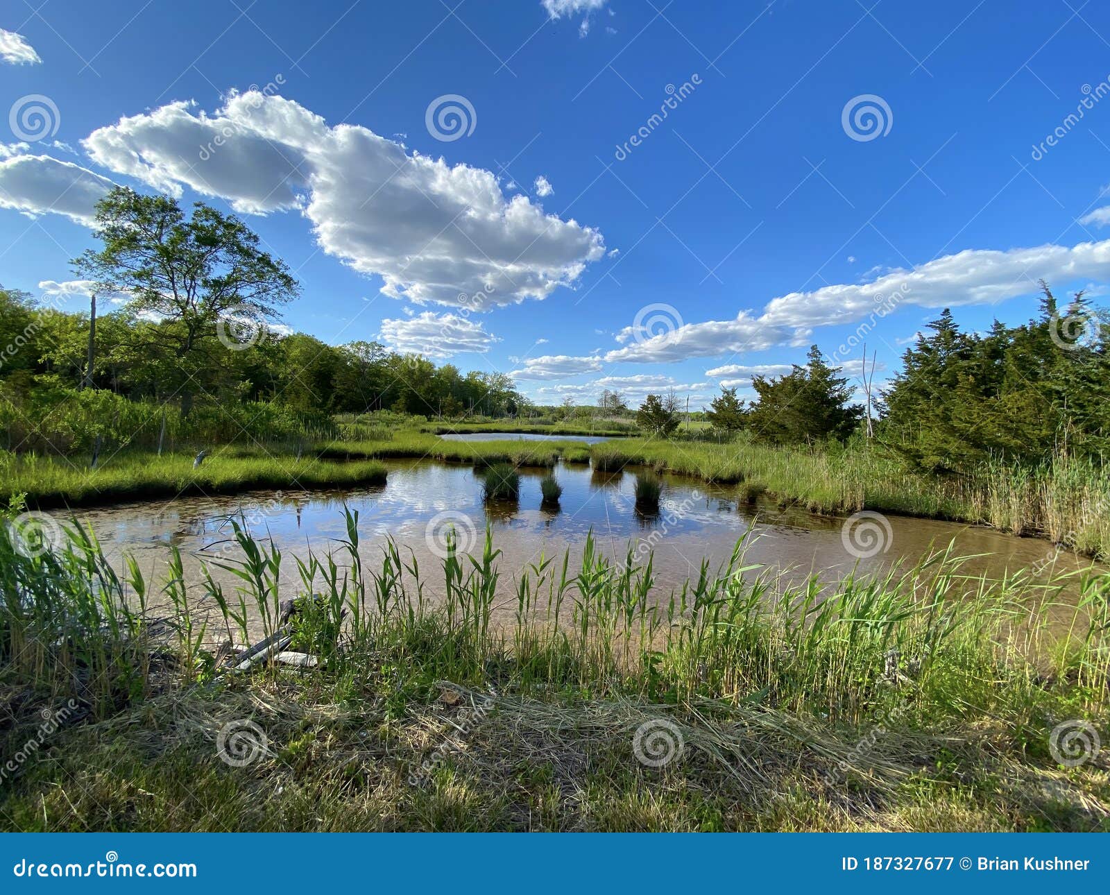 Beautiful Sky and Clouds Overlooking a Pond Stock Image - Image of pond ...